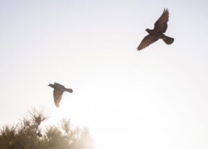 Dennis F. Kinlaw: Naming and Showing that Mysterious Quality by Jerry ...