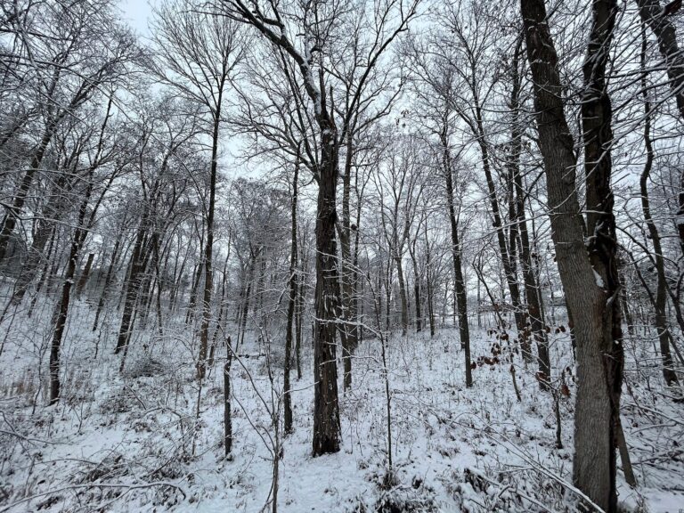 Christmas In Santa Claus, Indiana by Joseph Seger - World Methodist ...